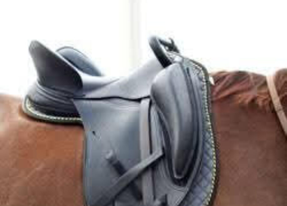 English Saddles | DK Saddlery
